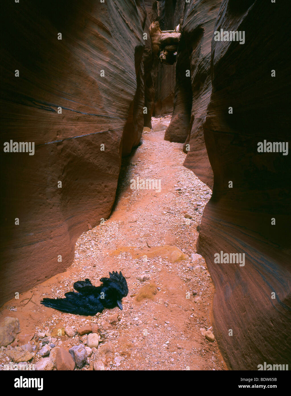 Unique places to see in utah hi-res stock photography and images - Alamy