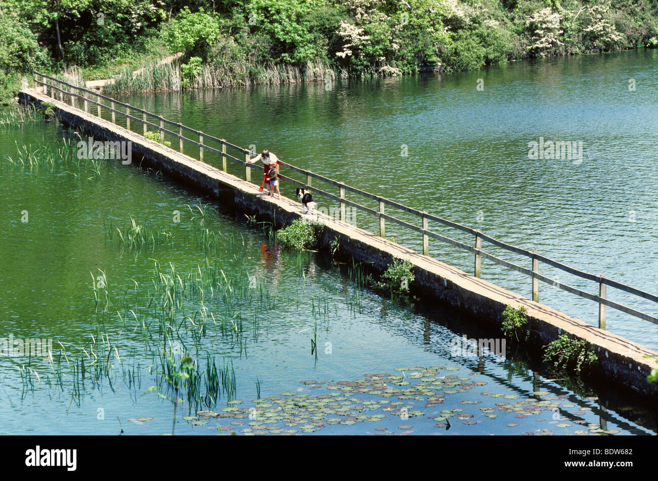 Bosherston lily ponds pembrokeshire hi-res stock photography and images ...