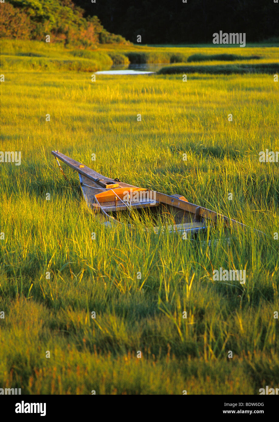 Tidal wetlands cape cod hi-res stock photography and images - Alamy
