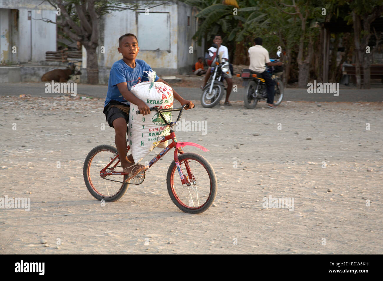 TIMOR LESTE Boy carrying sack of rice on a bicycle, Oecussi-Ambeno ...