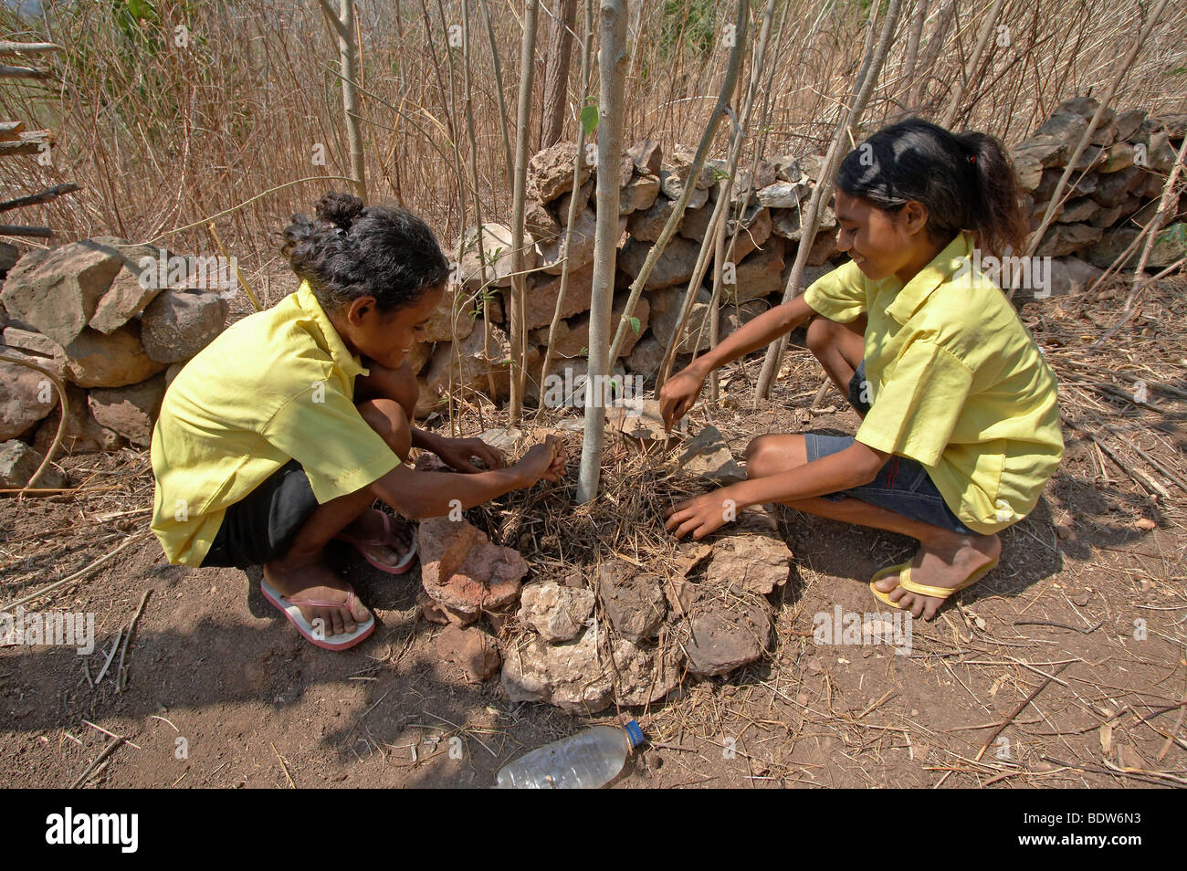 Timor primary school hi-res stock photography and images - Alamy