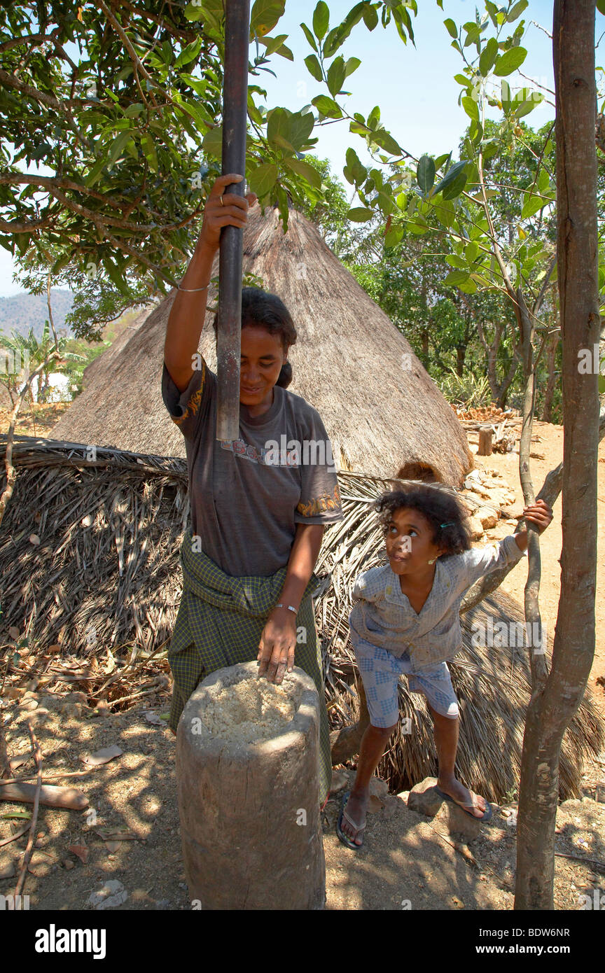 TIMOR LESTE Woman pounding maize grains, Oecussi-Ambeno PHOTOGRAPH by ...