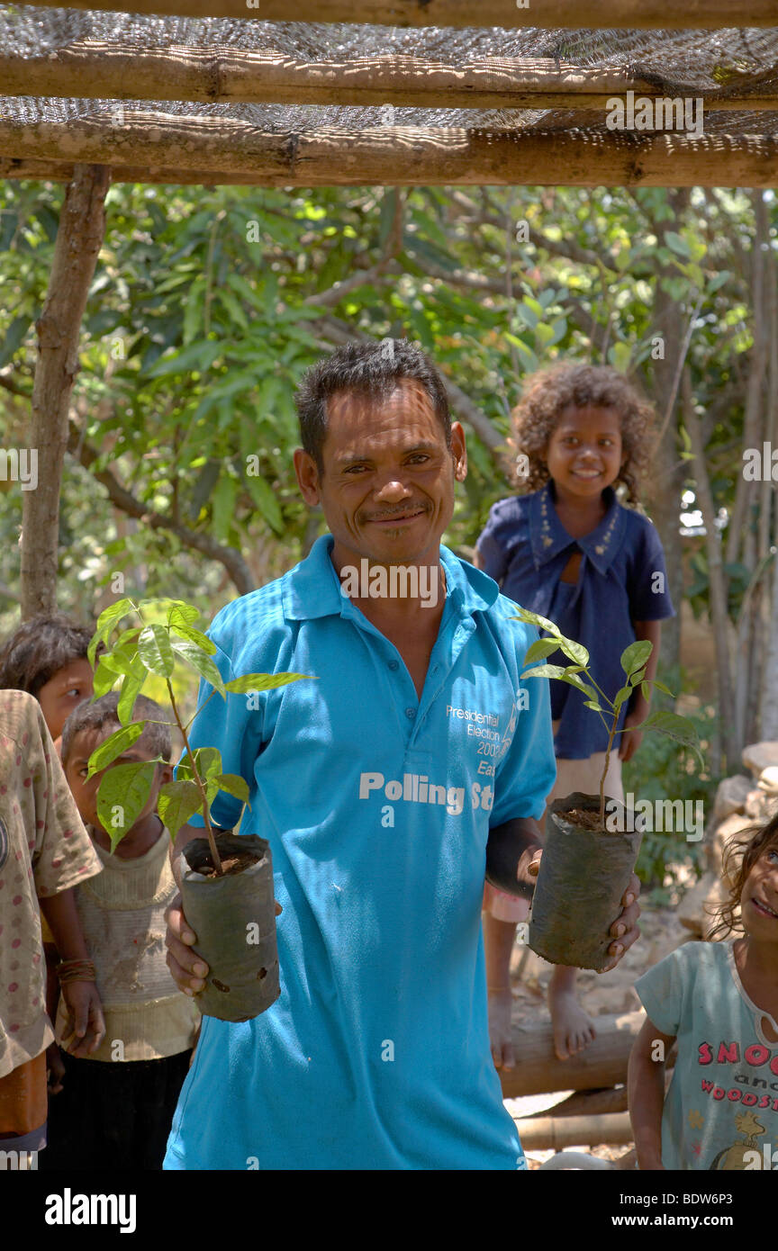 TIMOR LESTE Man holding young trees, agro-forestry project, Oecussi ...