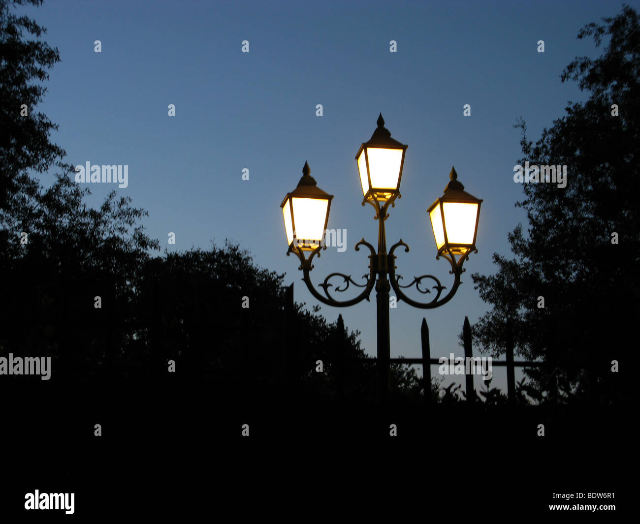 old style lamp post at night in trees Stock Photo - Alamy