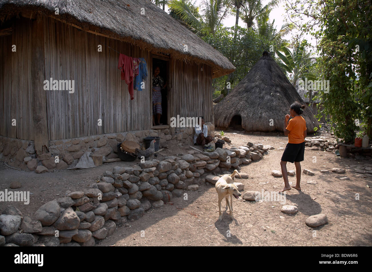 TIMOR LESTE Typical house, Kefua village, Oecussi-Ambeno PHOTOGRAPH by ...