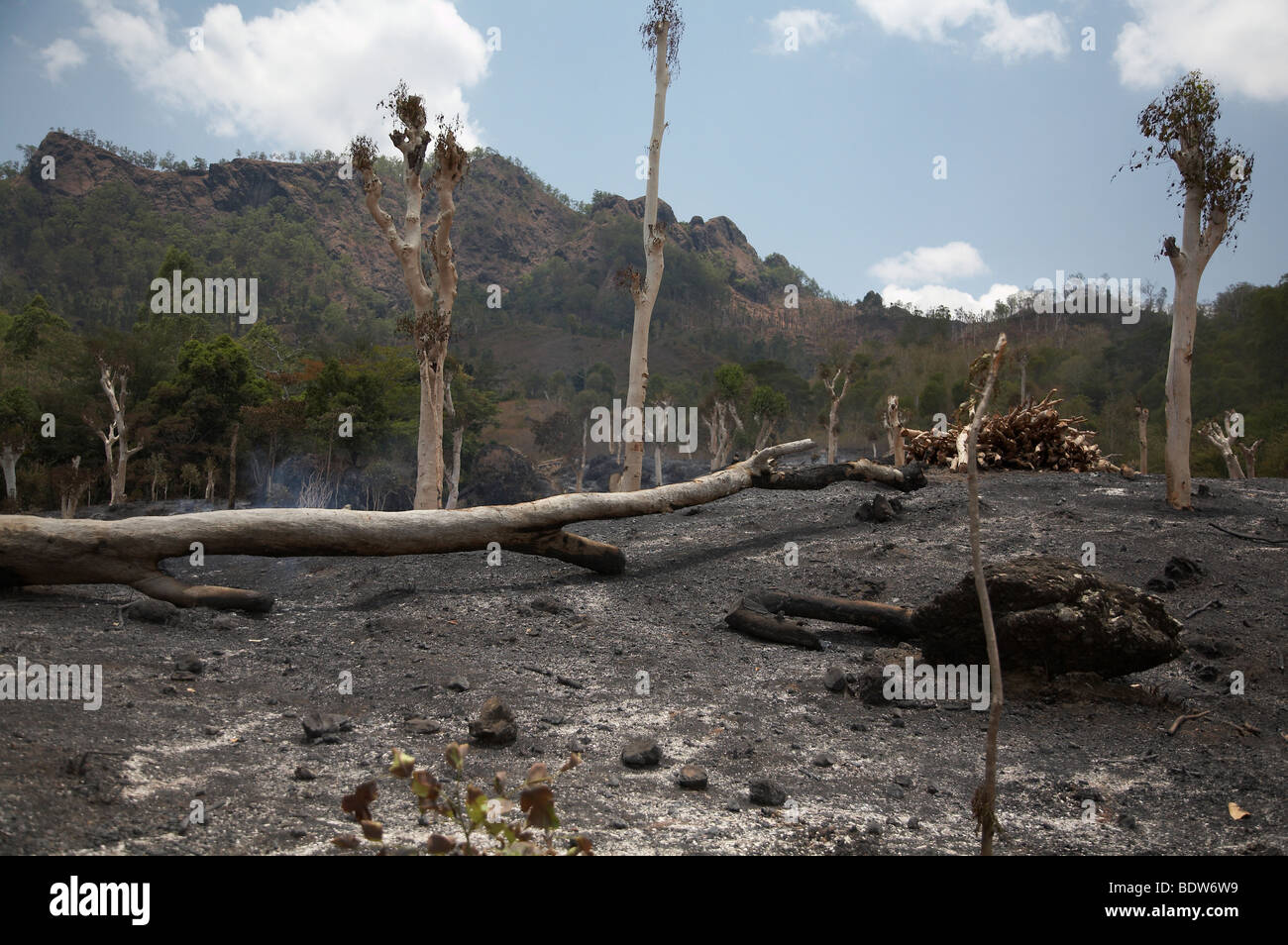 Oecussi ambeno hi-res stock photography and images - Alamy