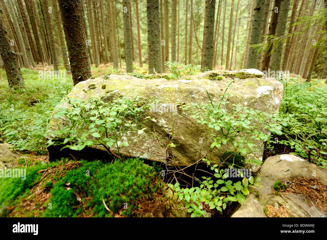 The Bohemian Forest mountain range, Sumava National Park, Böhmerwald ...