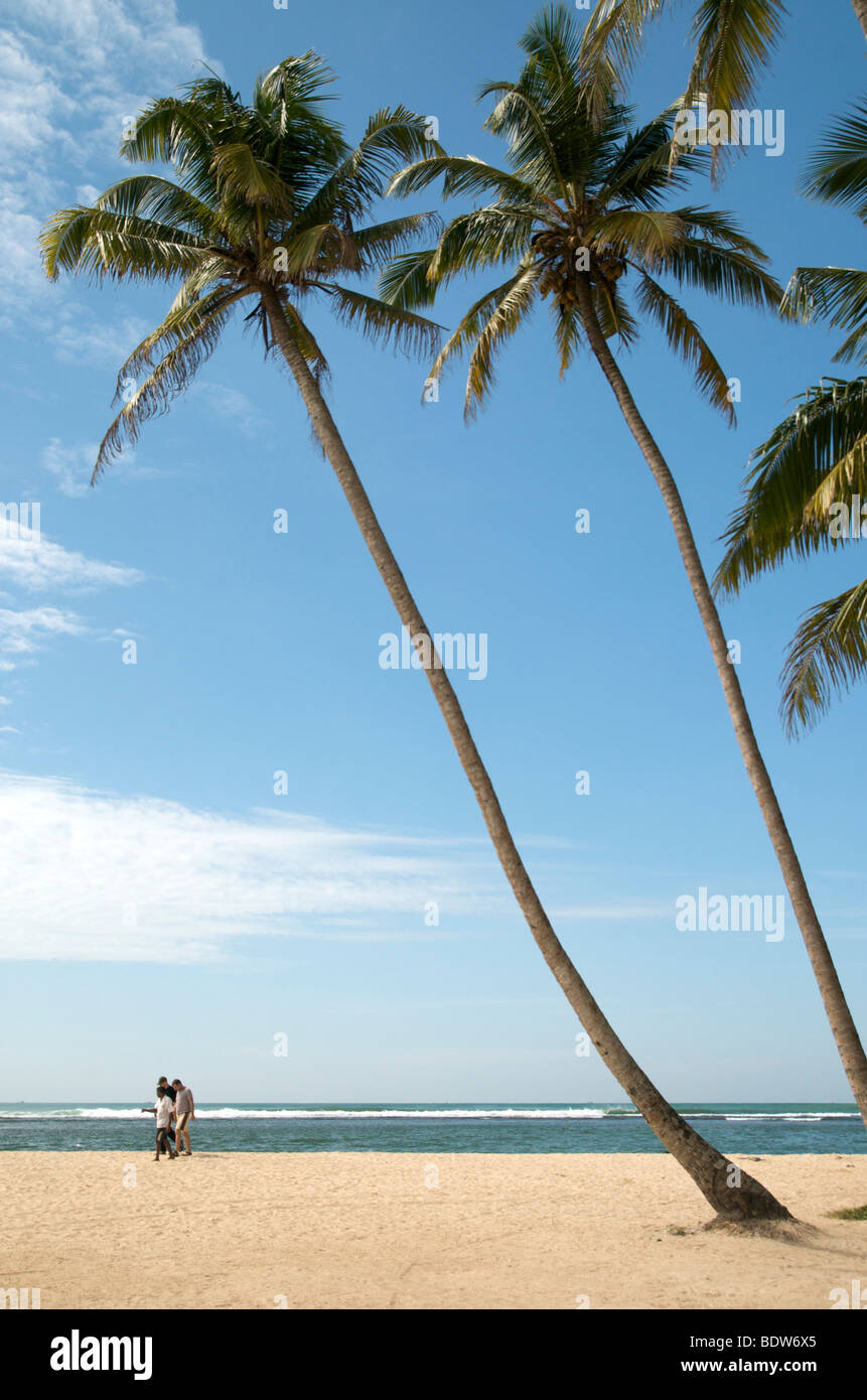 Polhena beach hi-res stock photography and images - Alamy