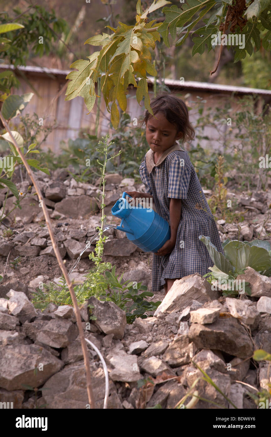 TIMOR LESTE Girl watering vegetable garden, Oecussi-Ambeno PHOTOGRAPH ...