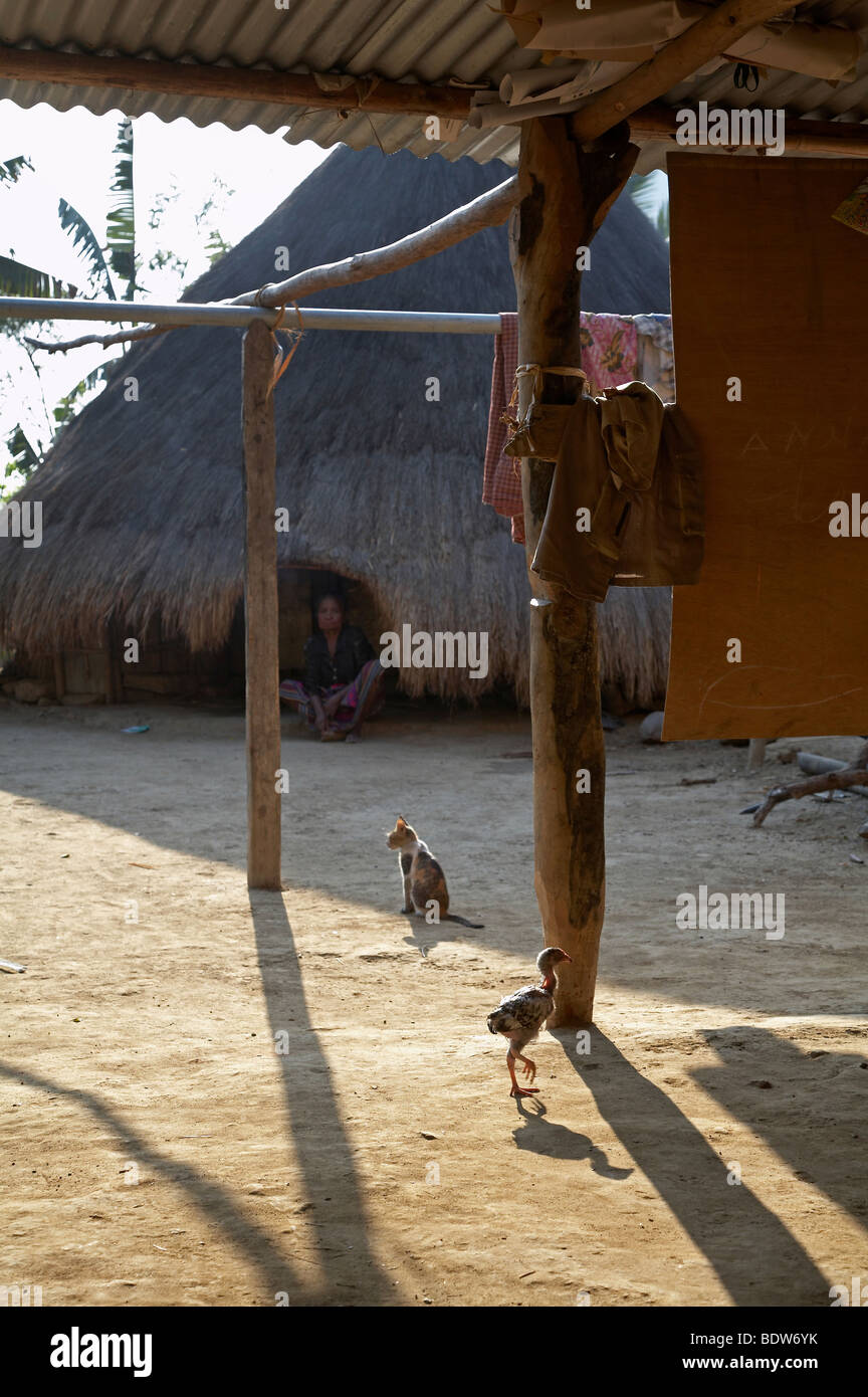 TIMOR LESTE Traditional house, plus cat and chicken, Oecussi-Ambeno ...