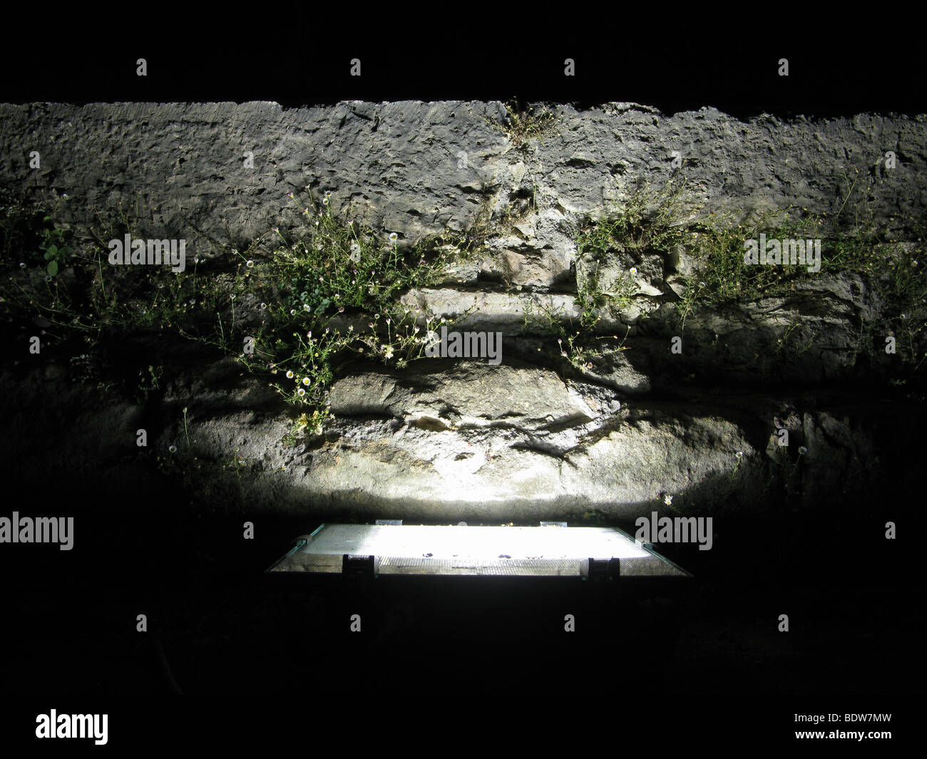 one bright security light in dark alley at night Stock Photo - Alamy