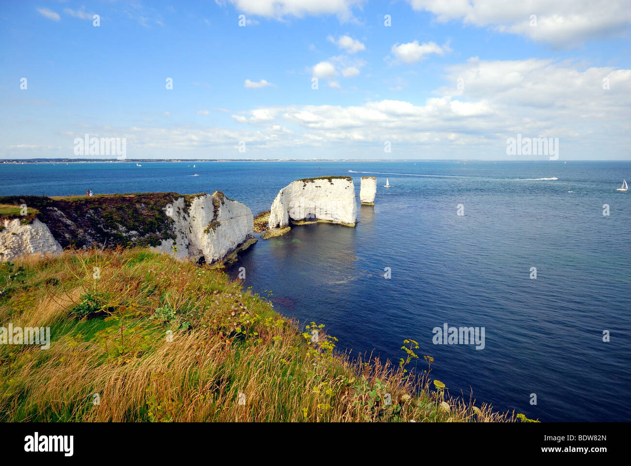 Old harry rocks dorset hi-res stock photography and images - Alamy