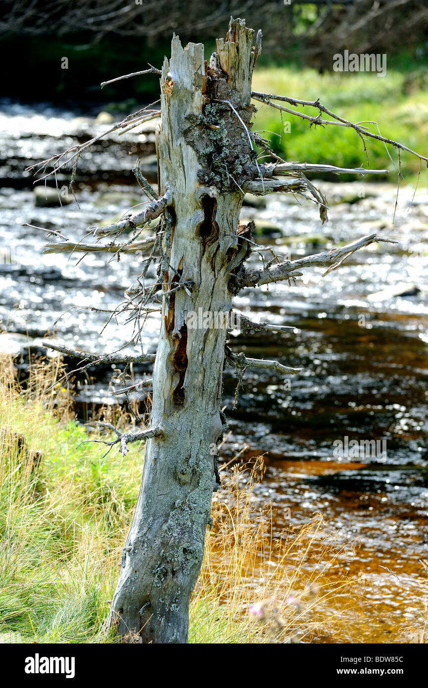 Modrava Roklansky potok Sumava National Park Czech Republic Stock Photo ...