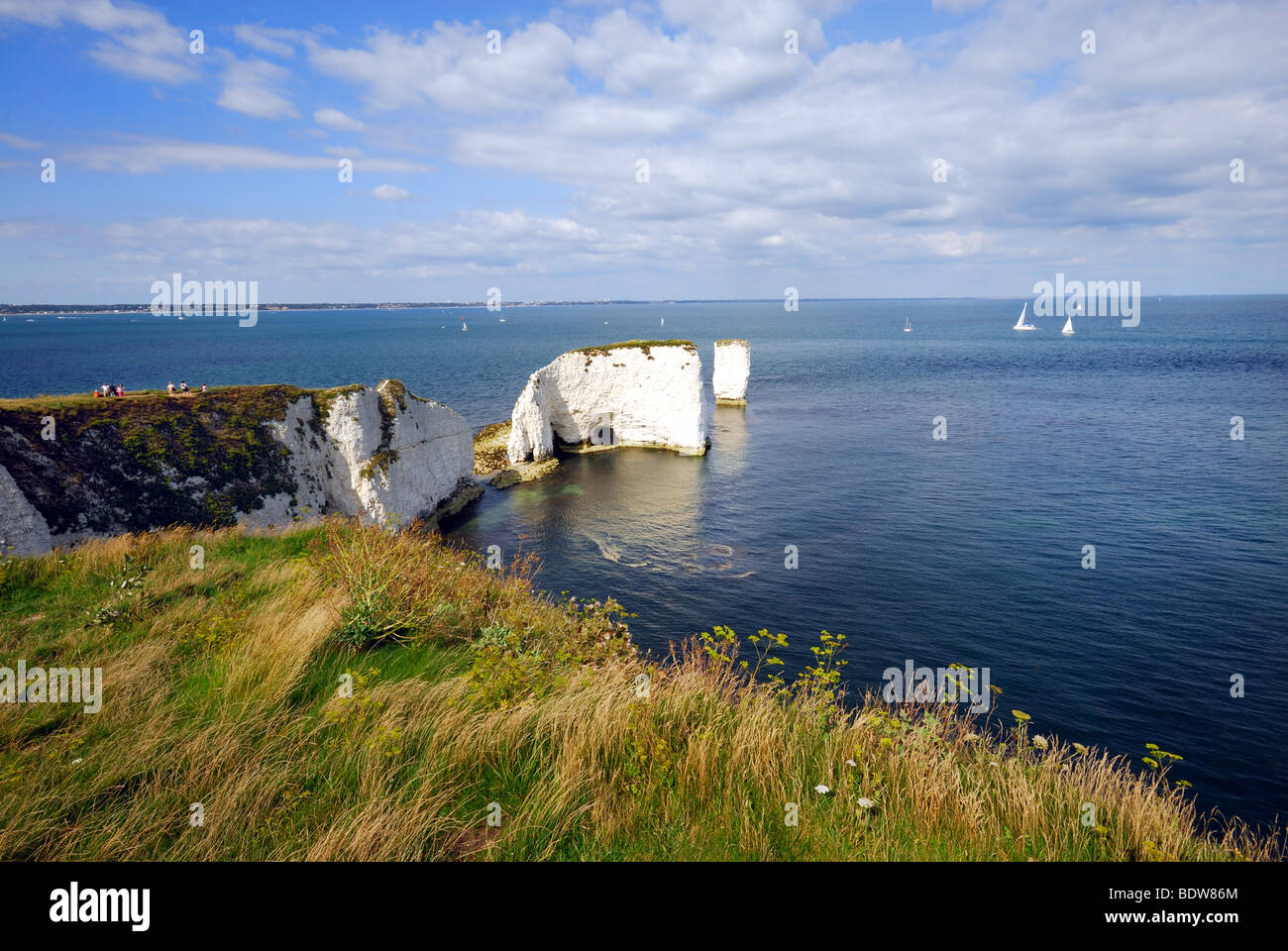 Old harry rocks dorset hi-res stock photography and images - Alamy