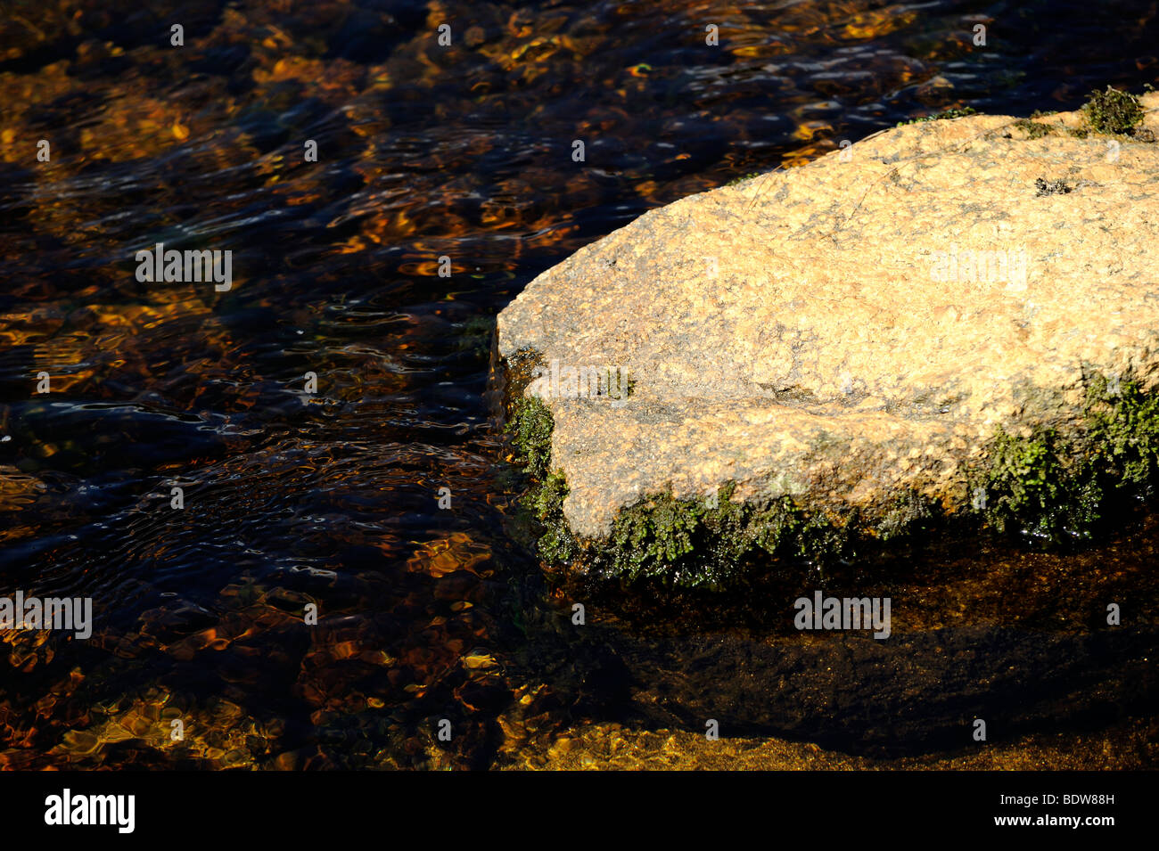 Modrava Roklansky potok Sumava National Park Czech Republic Stock Photo ...
