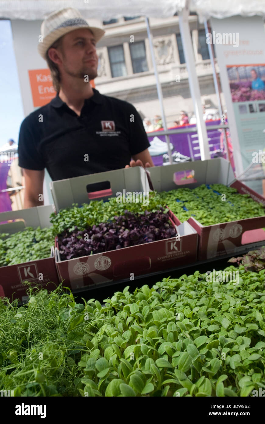 Micro-vegetables farmed in greenhouses are displayed at an exhibit in ...