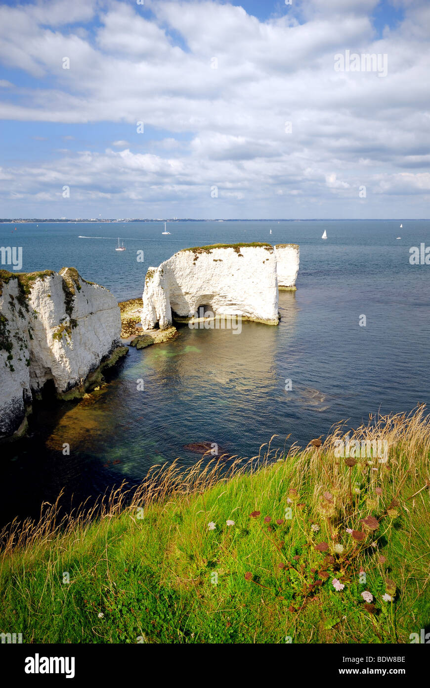 Old Harry Rocks Dorset Stock Photo - Alamy