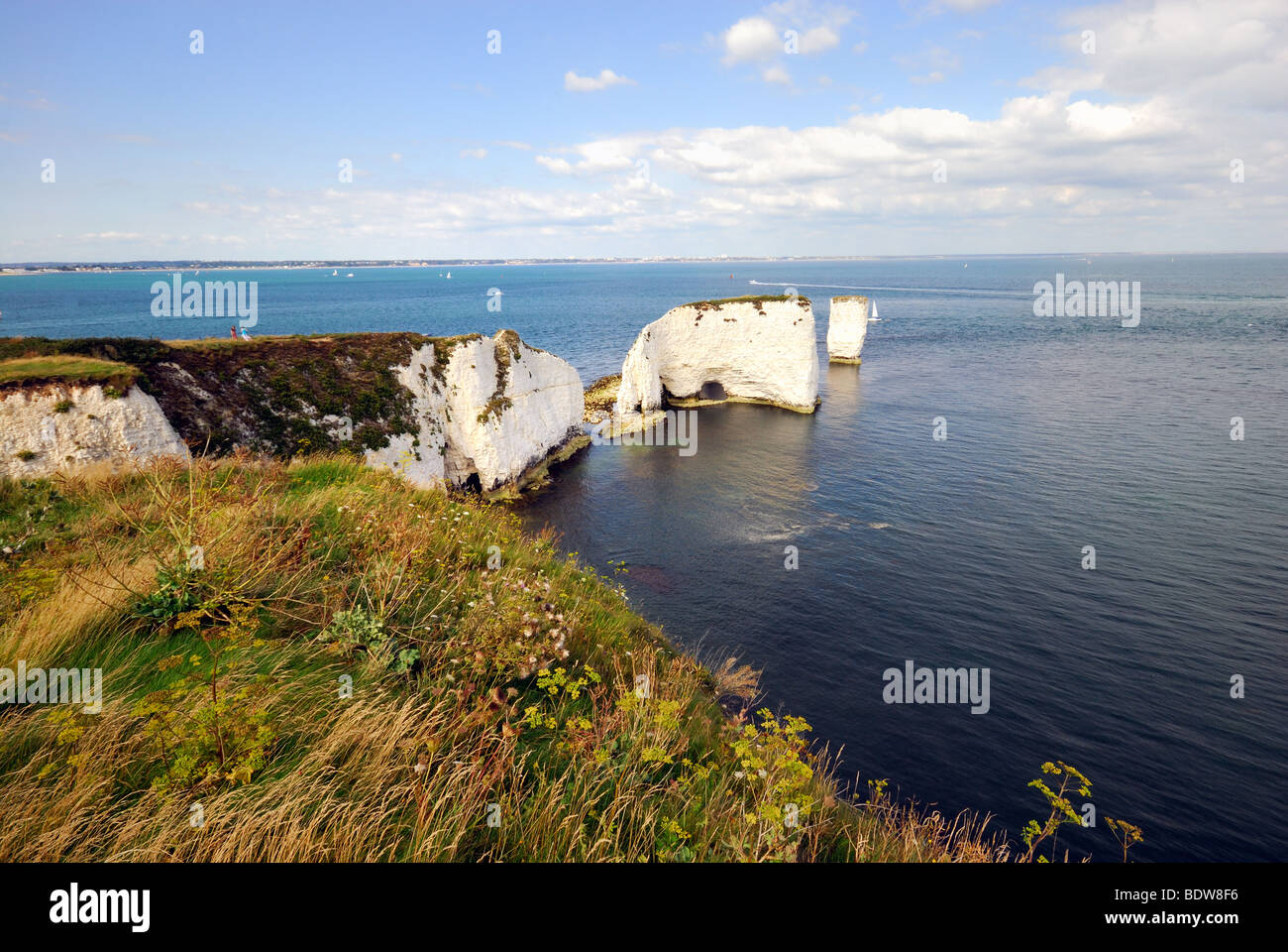 Old Harry Rocks Dorset Stock Photo - Alamy