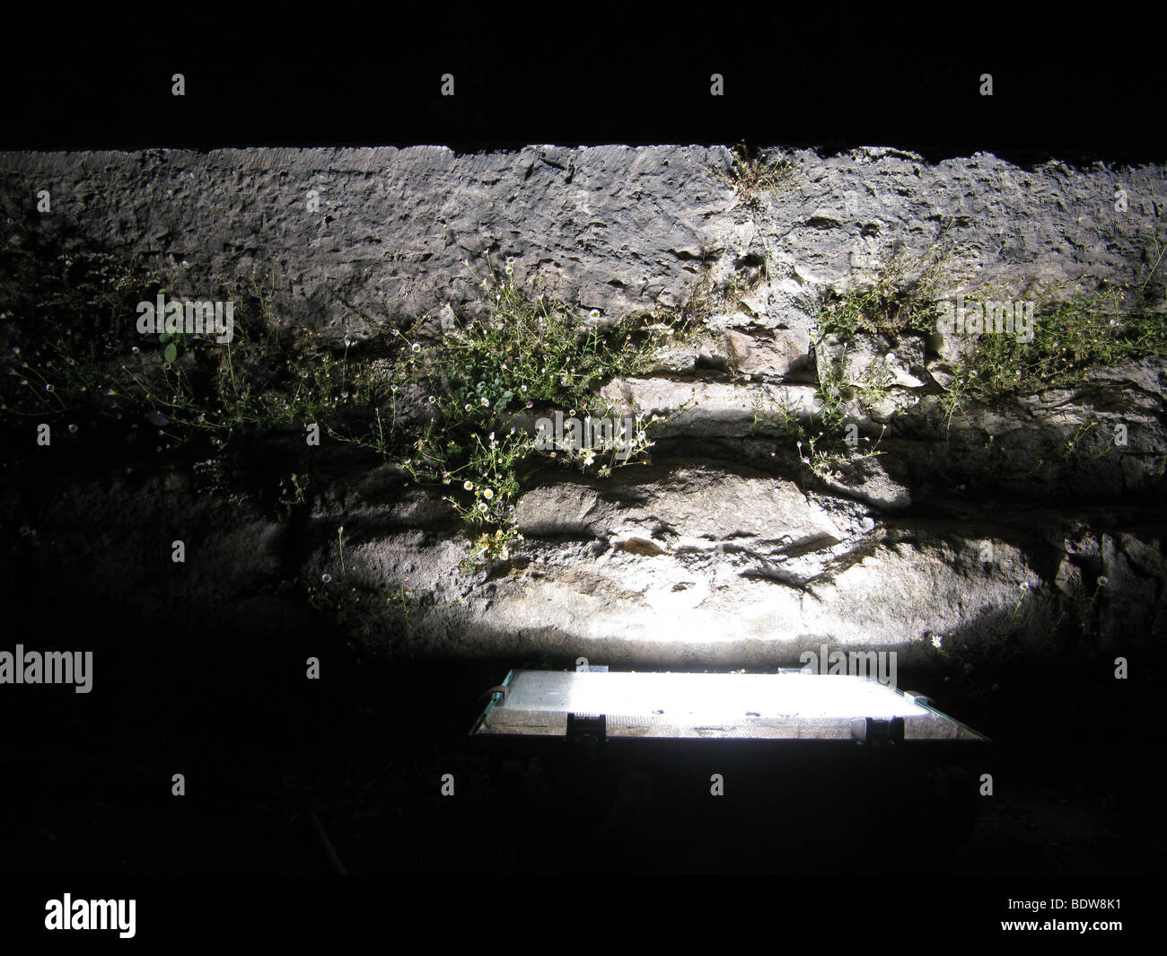 one bright security light in dark alley at night Stock Photo - Alamy