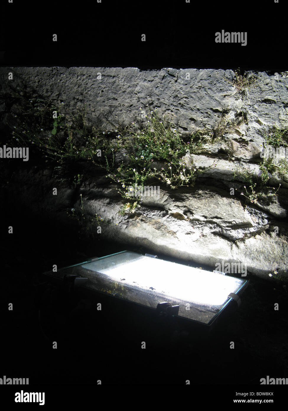 one bright security light in dark alley at night Stock Photo - Alamy