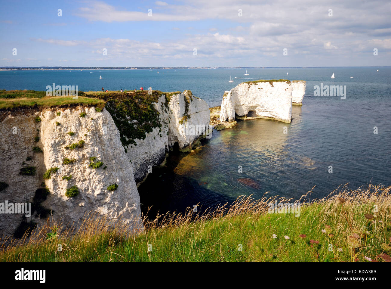Old Harry Rocks Dorset Stock Photo - Alamy