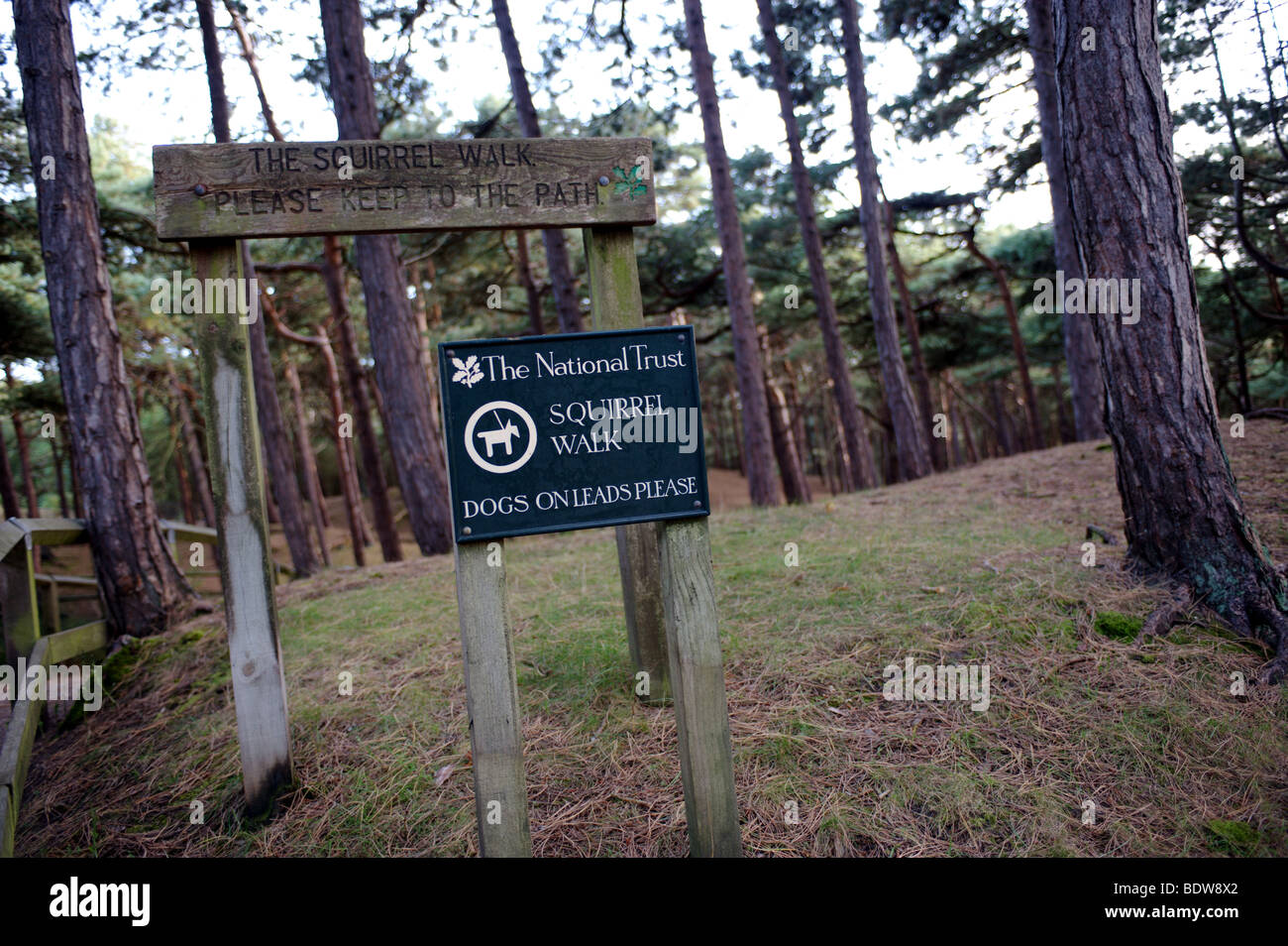 National Trust sign saying 'Squirrel Walk' and 'Dogs On Leads Please ...