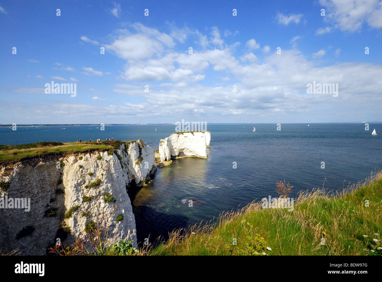 Old harry rocks poole dorset hi-res stock photography and images - Alamy
