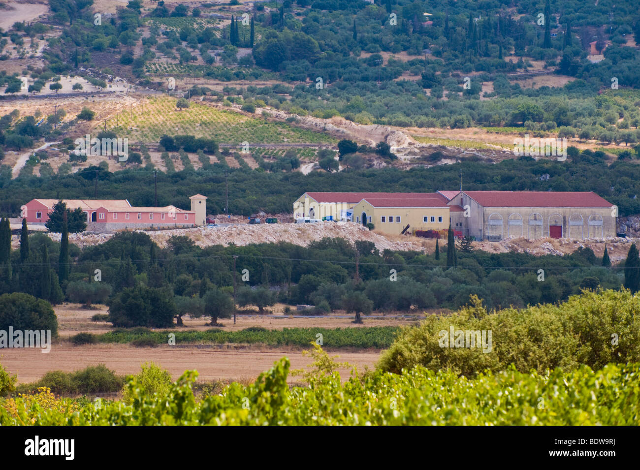 Robola winery, hi-res stock photography and images - Alamy