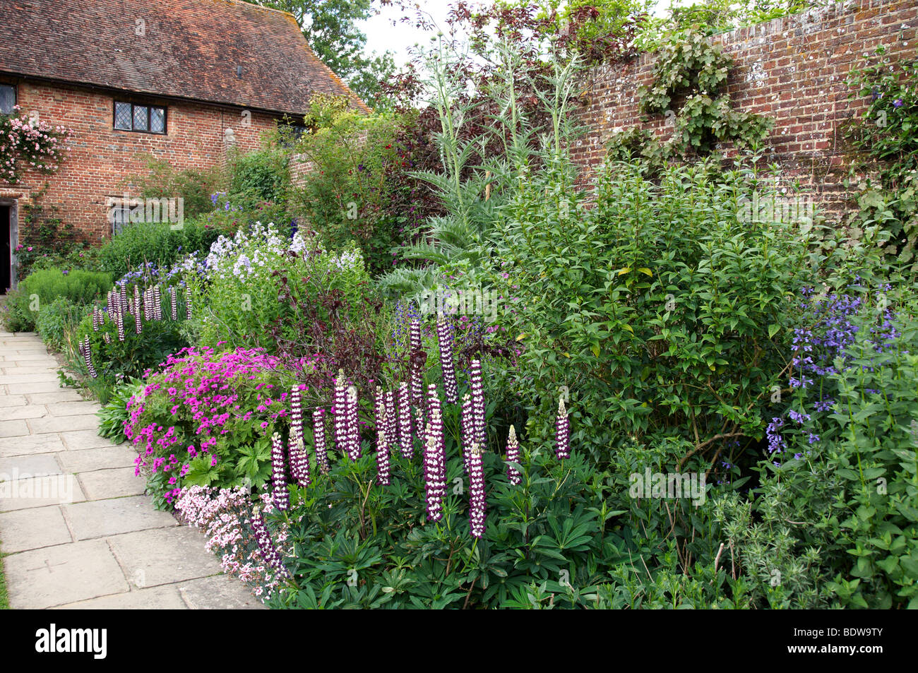 Cottage garden border wildflowers hi-res stock photography and images ...