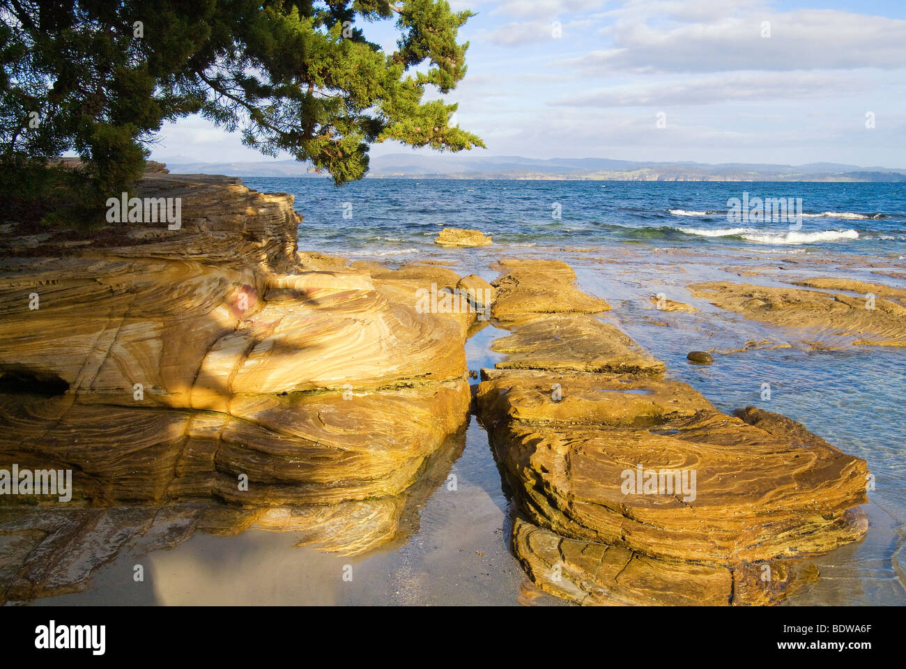Maria Island National Park, Painted cliffs, Tasmania, Australia Stock ...