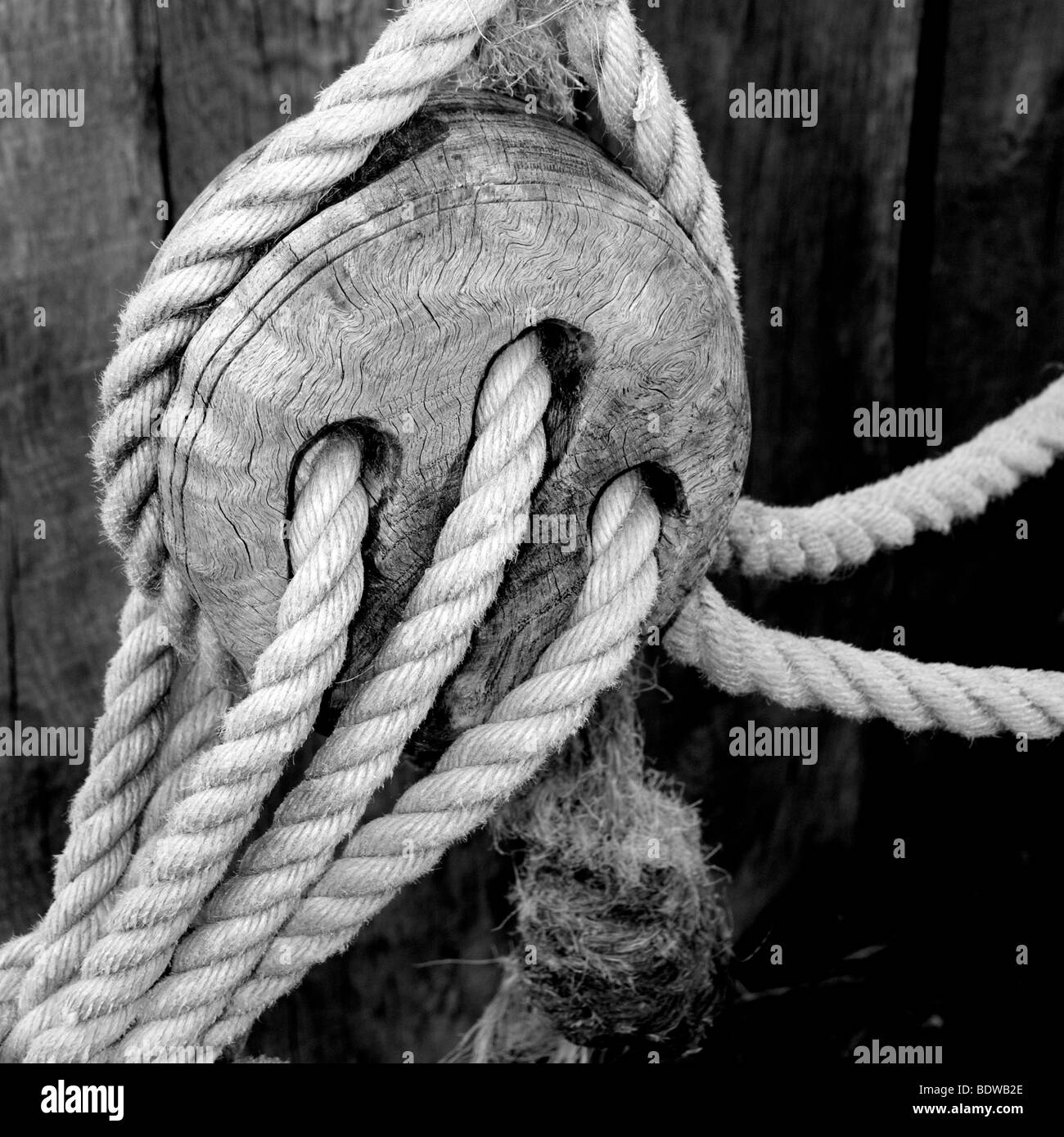 Rope bondage Black and White Stock Photos & Images - Alamy