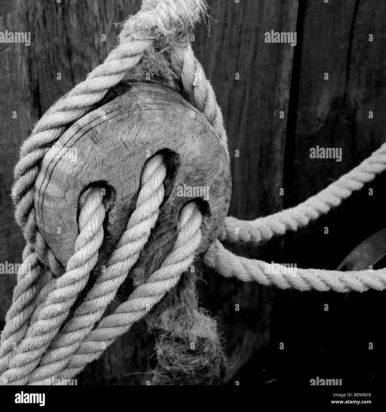 Bondage rope Black and White Stock Photos & Images - Alamy