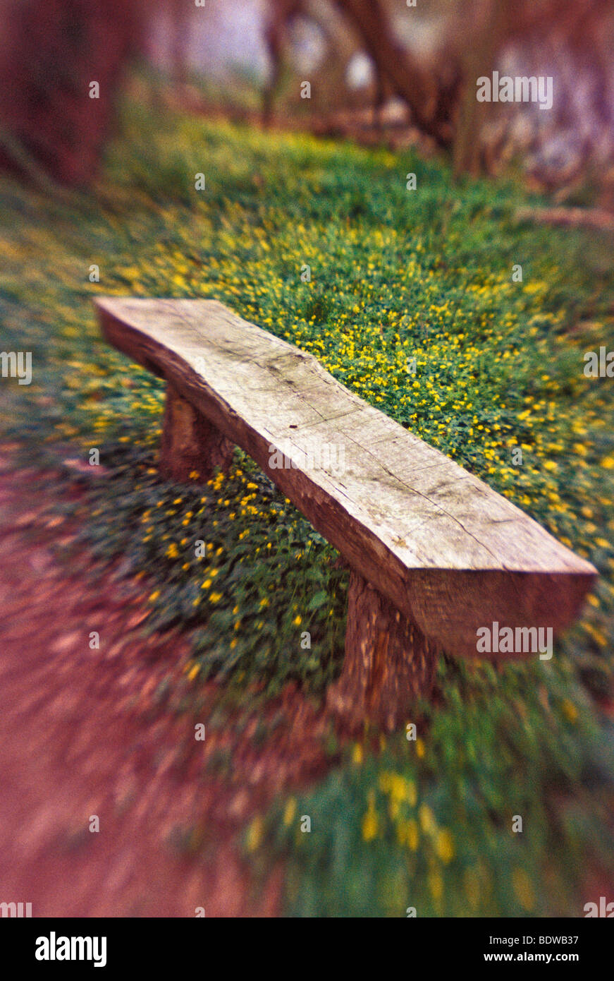 outdoor nature walk rest stop bench Stock Photo - Alamy