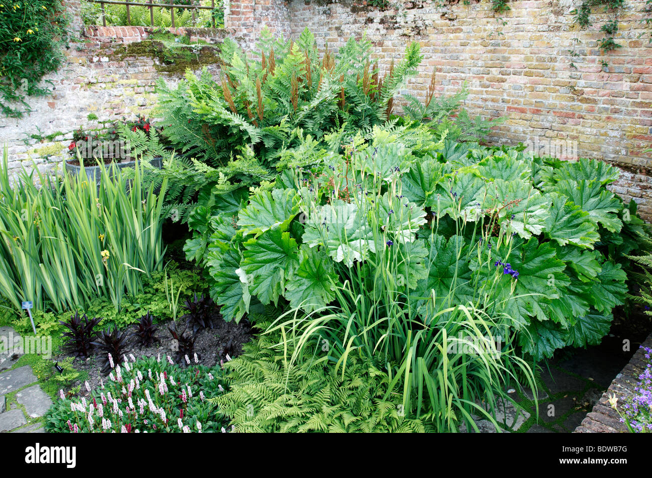 A pond with lush planting by a brick wall Stock Photo - Alamy