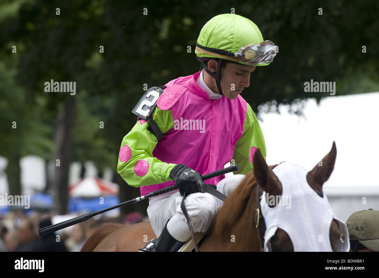 Horse racing at Saratoga Race Course Stock Photo - Alamy Horse racing at Saratoga Race Course Stock Photo - Alamy