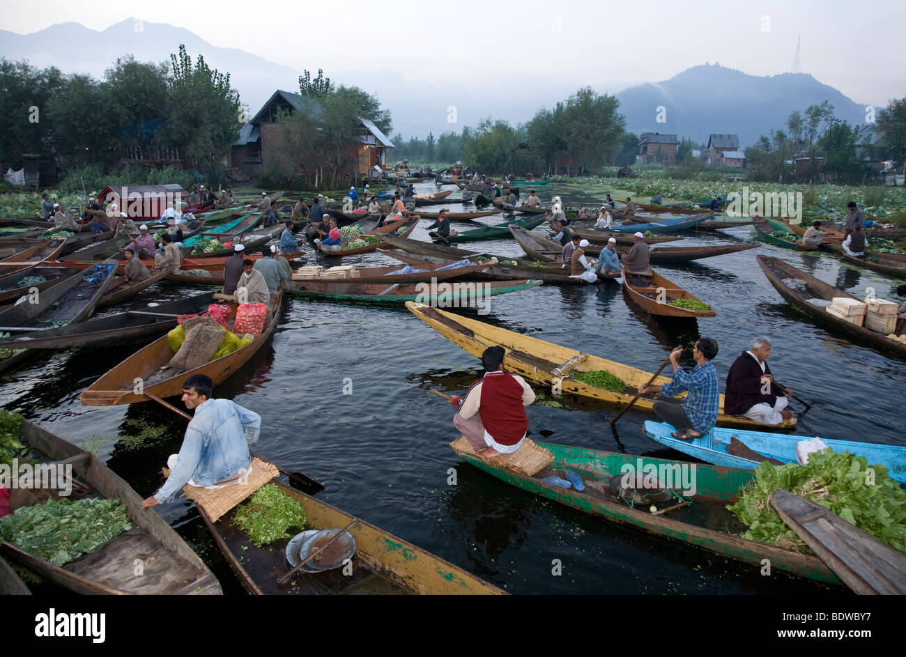 Floating market. Dal Lake. Srinagar. Kashmir. India Stock Photo - Alamy