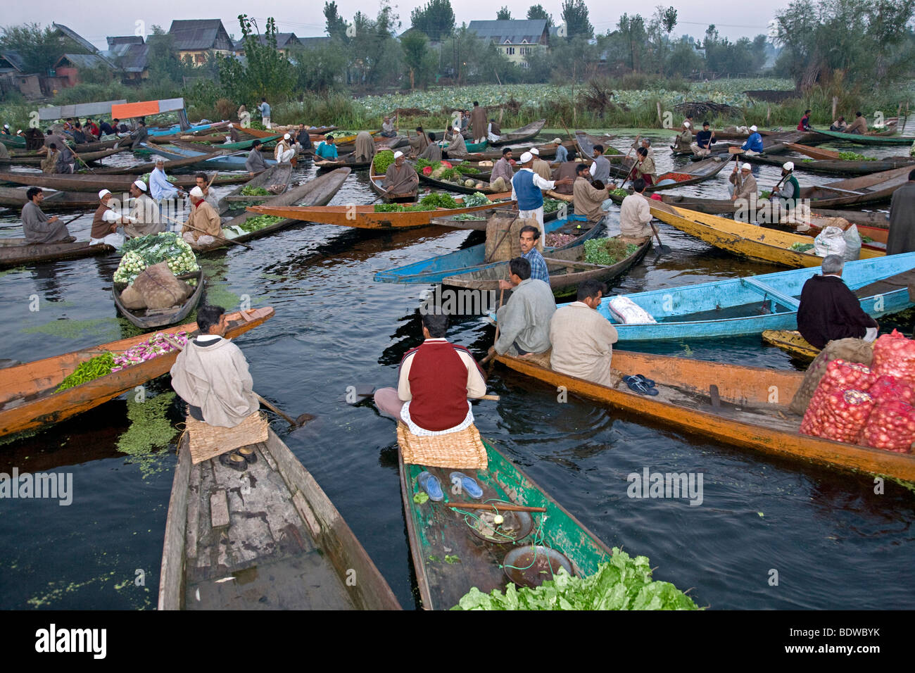 Floating market. Dal Lake. Srinagar. Kashmir. India Stock Photo - Alamy