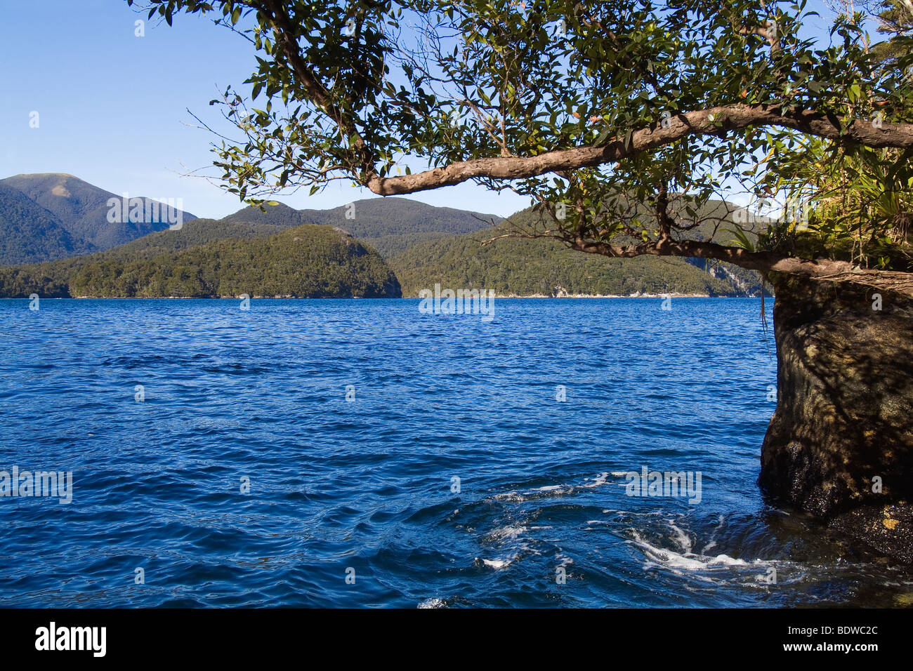 Fjordland National Park, Dusky Sound, New Zealand Stock Photo - Alamy