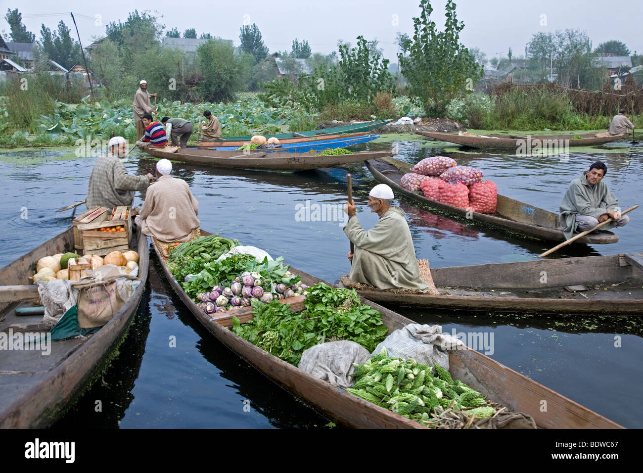 Floating market. Dal Lake. Srinagar. Kashmir. India Stock Photo - Alamy