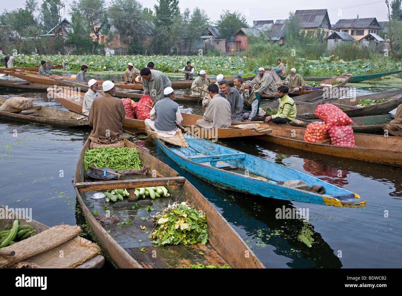 Floating market. Dal Lake. Srinagar. Kashmir. India Stock Photo - Alamy