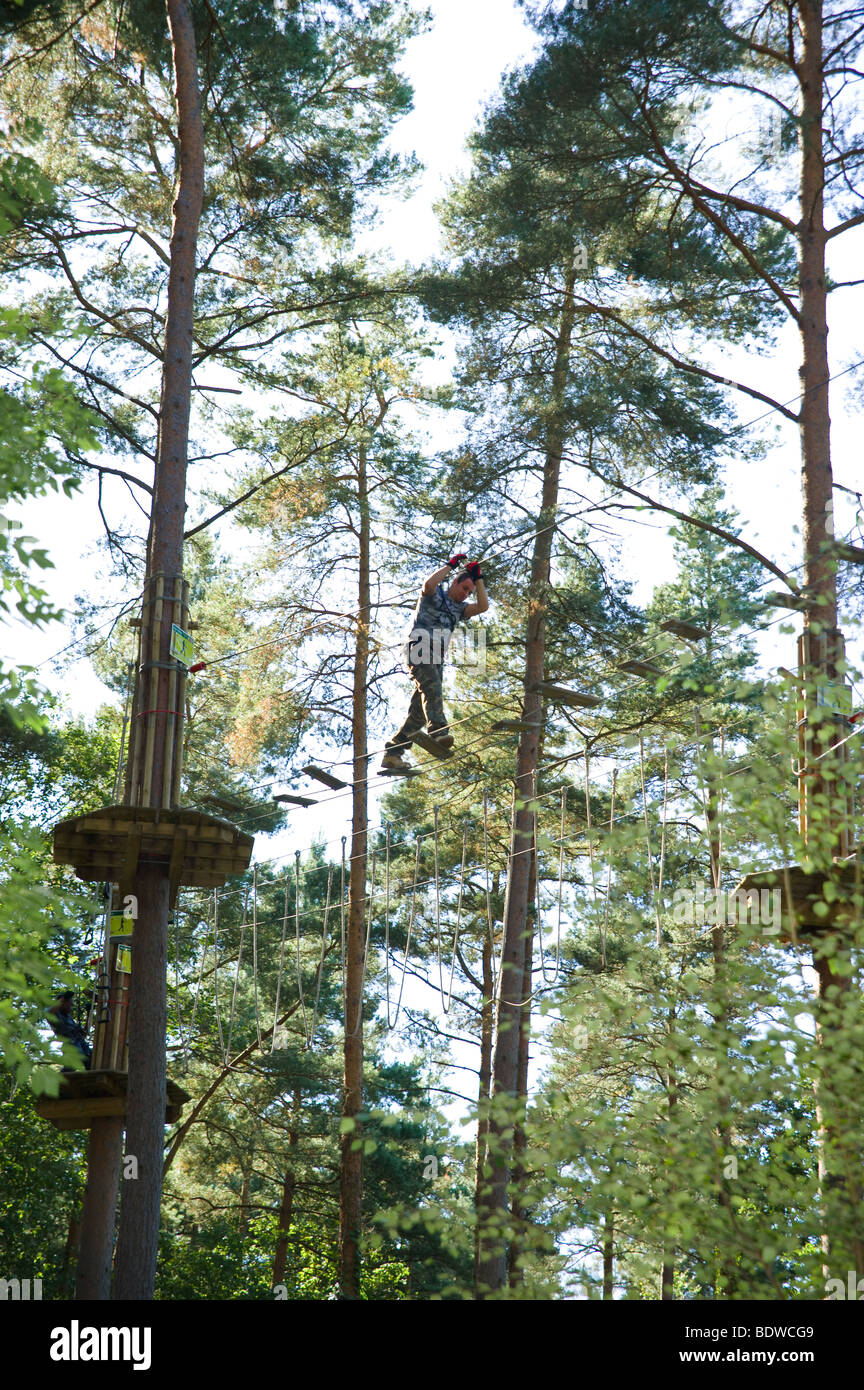 Arial obstacle course forest rope heights high ropes hi-res stock ...