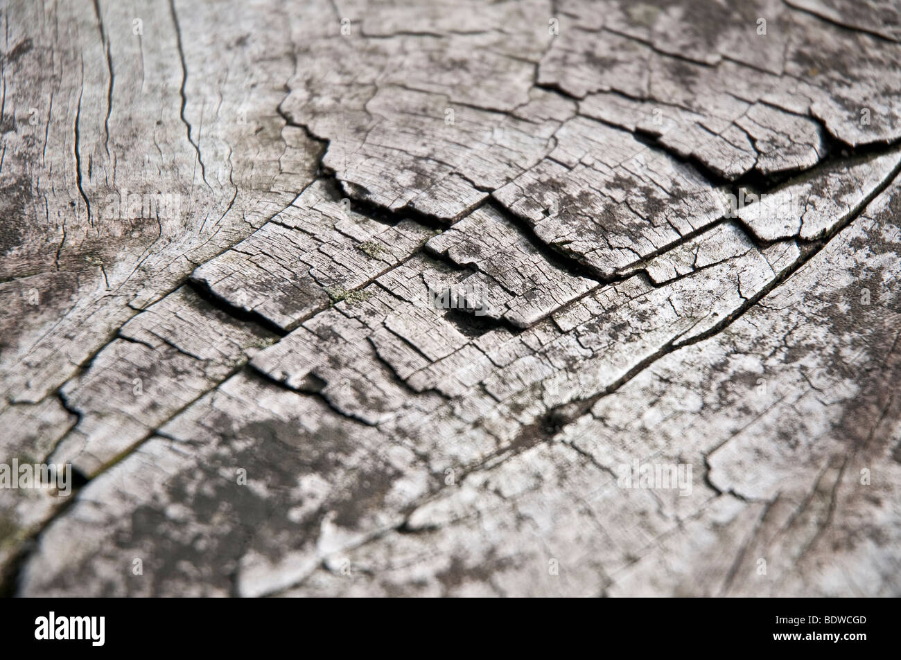 Cracked wooden table macro Stock Photo - Alamy