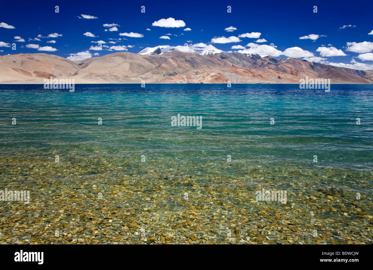 Tso Moriri Lake. Ladakh. India Stock Photo - Alamy