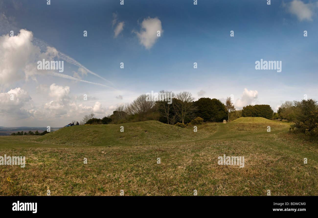 Bronze Age round barrows at Kingley Vale near Chichester, West Sussex ...