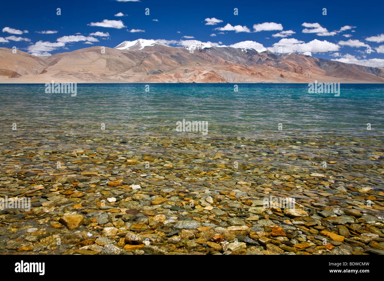Tso Moriri Lake. Ladakh. India Stock Photo - Alamy