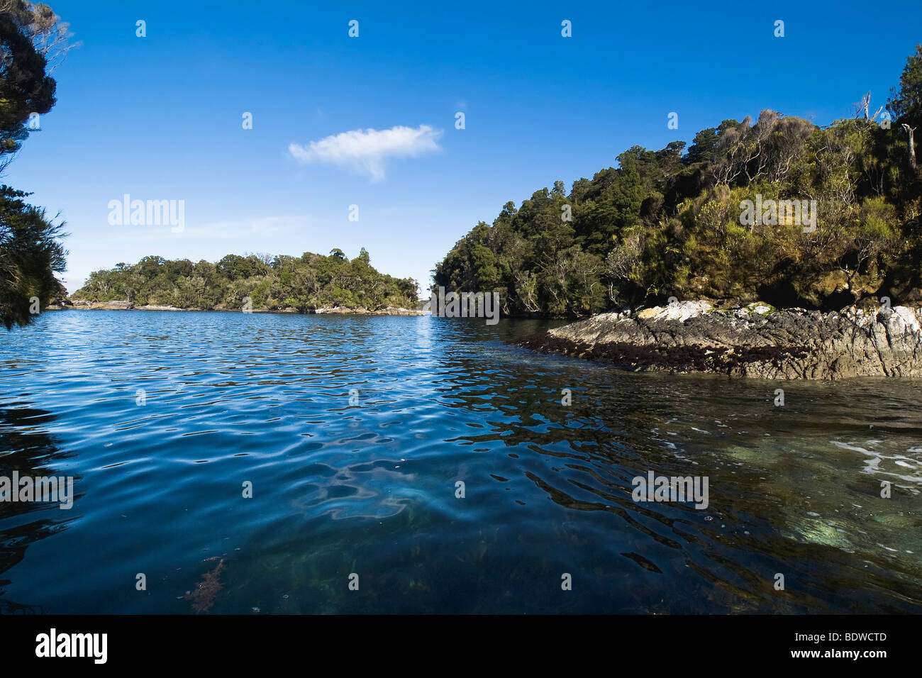 Fjordland National Park, Dusky Sound, New Zealand Stock Photo - Alamy