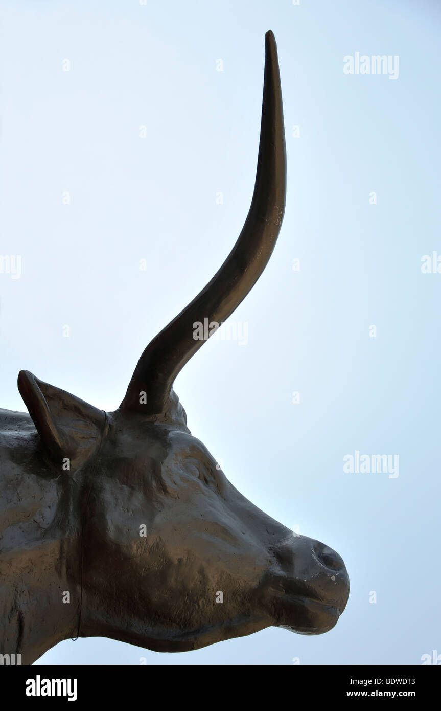 Texas Longhorn Statue High Resolution Stock Photography and Images - Alamy