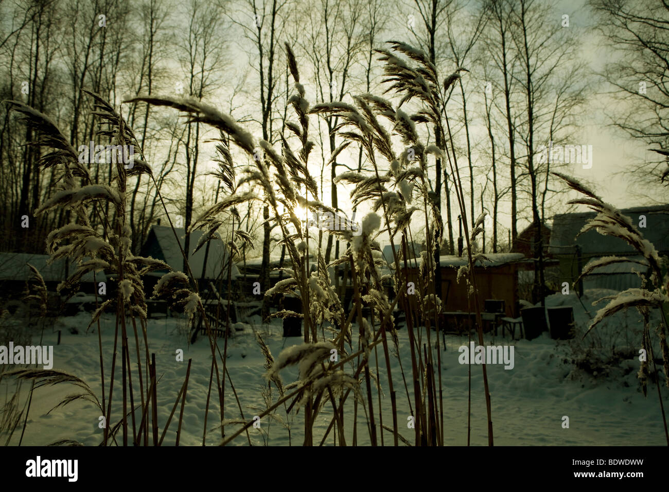 Winter in rural area Stock Photo - Alamy