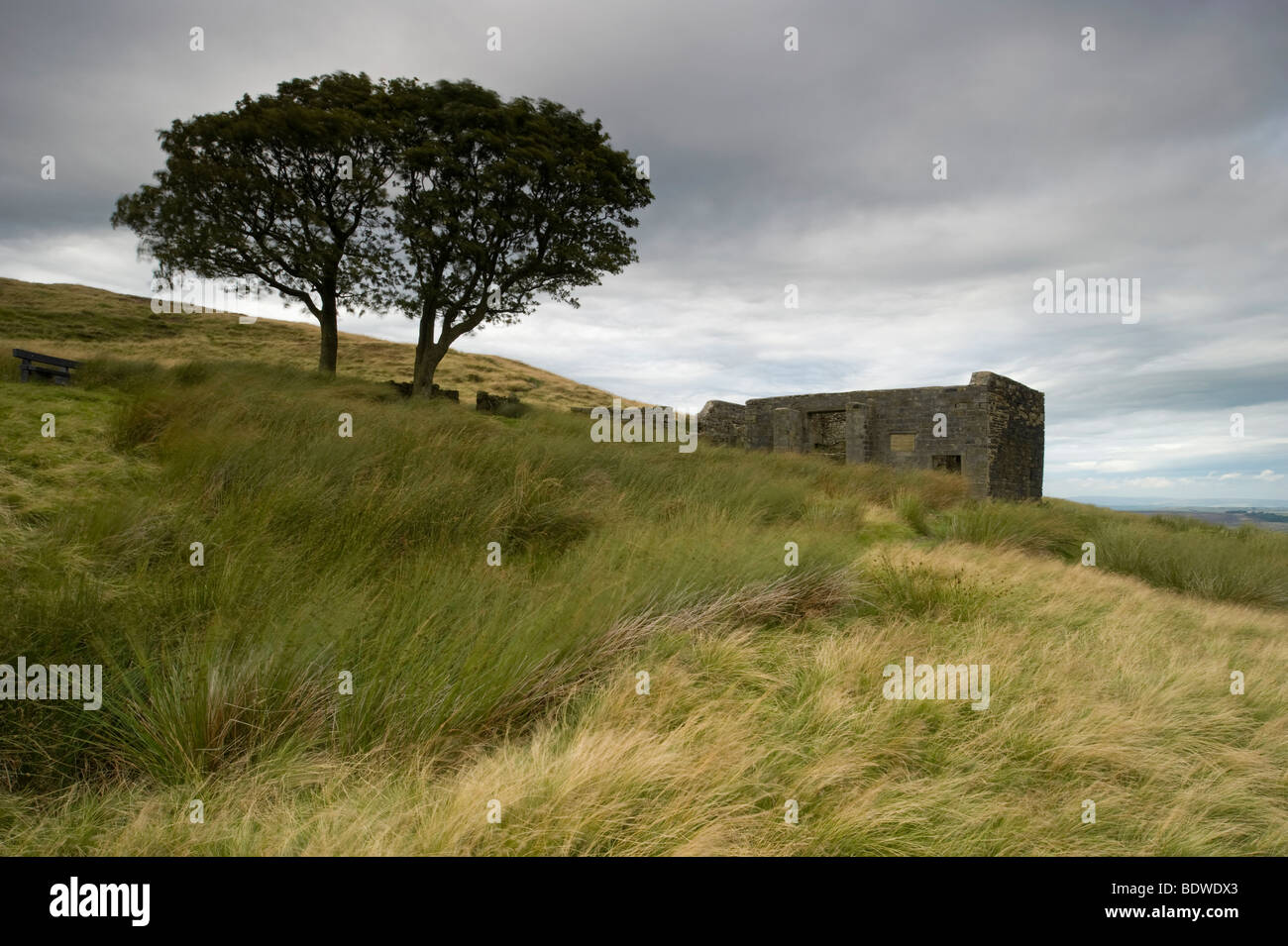 Wuthering Heights Moors