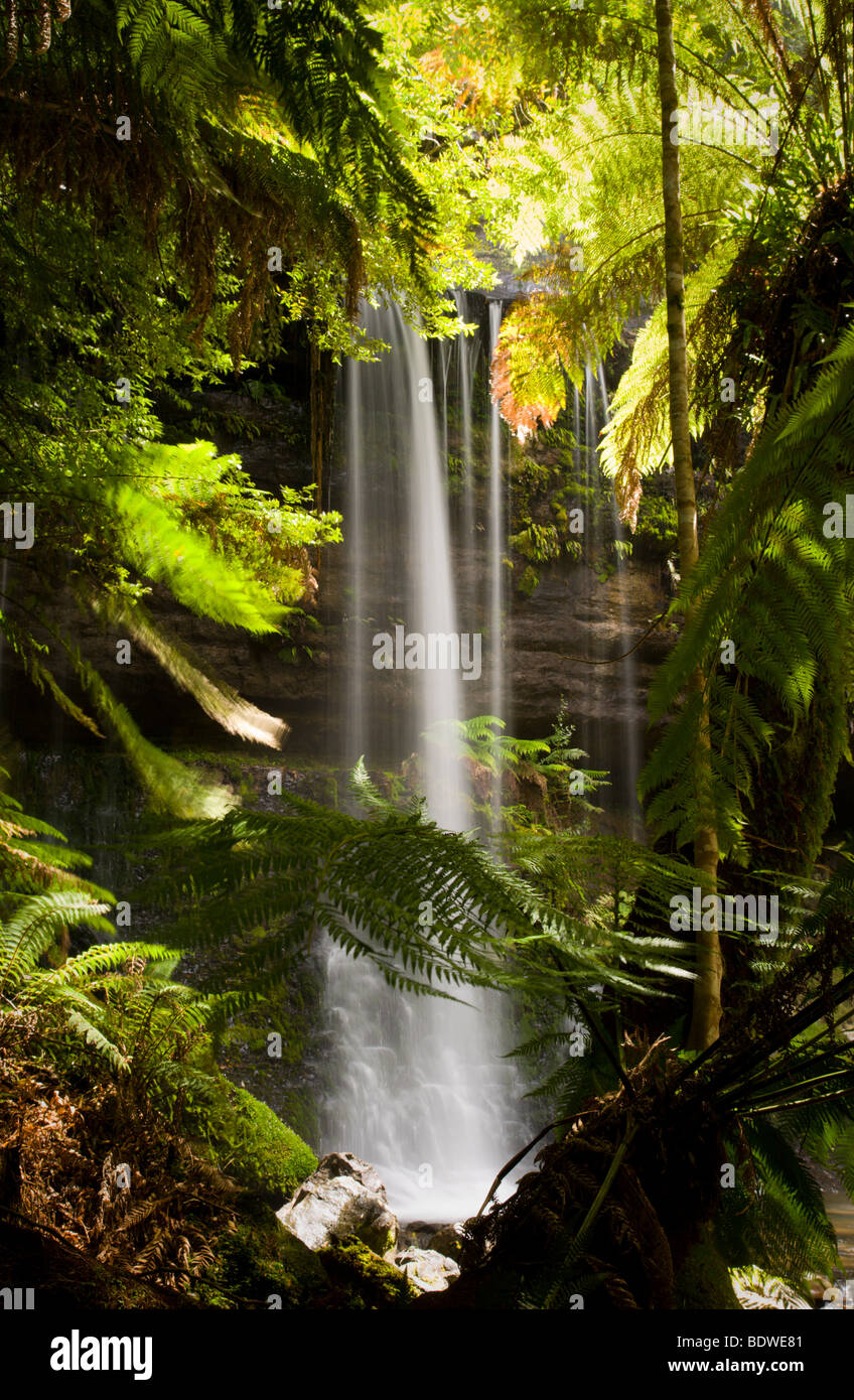 Mount field national park australia hi-res stock photography and images ...